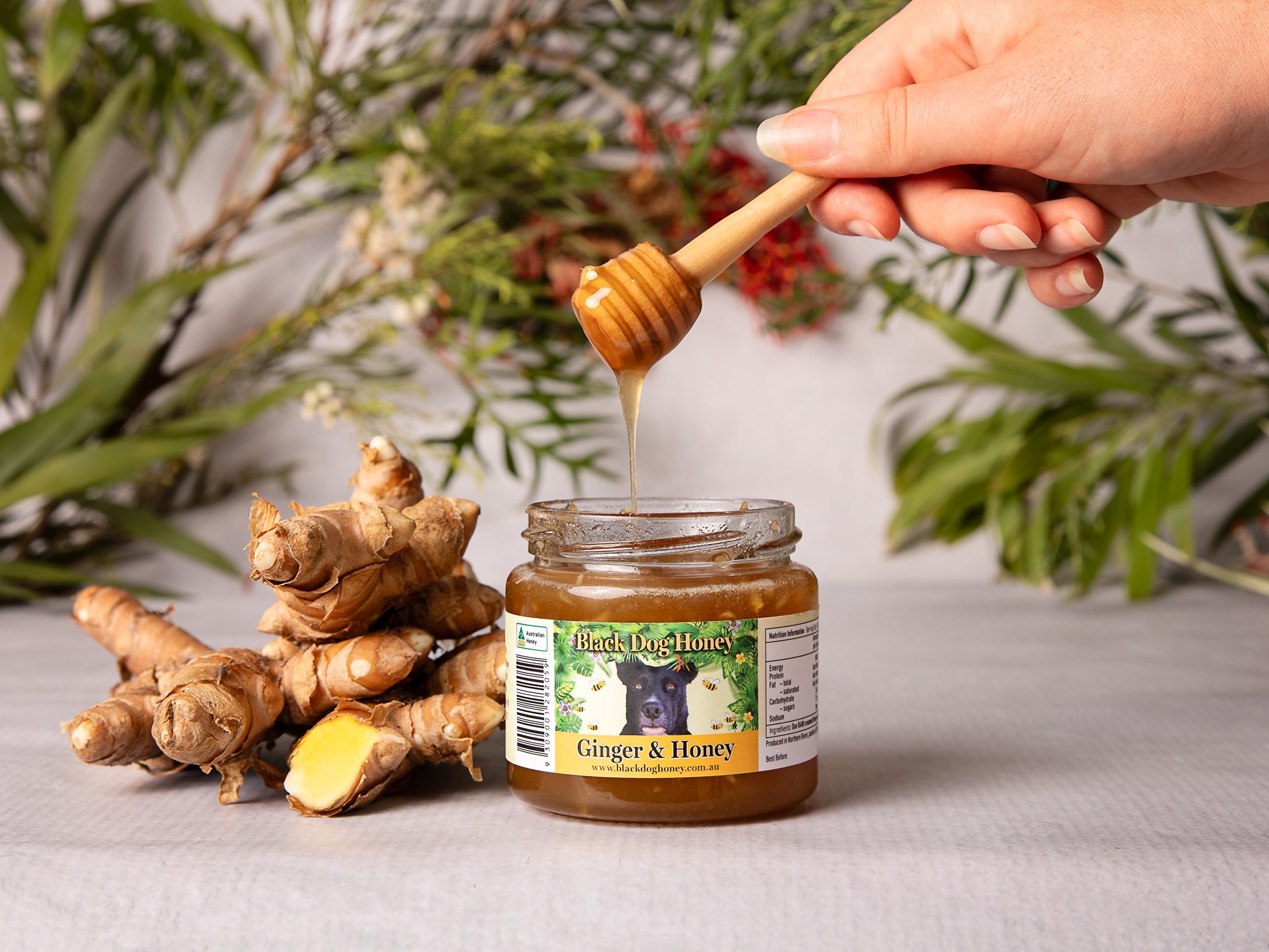 Ginger Infused Raw Honey - Australian Honey with Organic Ginger | Black ...
